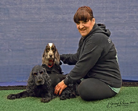 About My Dog Training Center – My Dog Training Center, LLC, Putnam, CT
