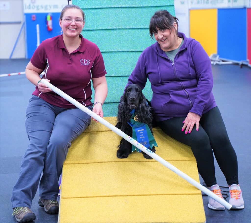 About My Dog Training Center – My Dog Training Center, LLC, Putnam, CT